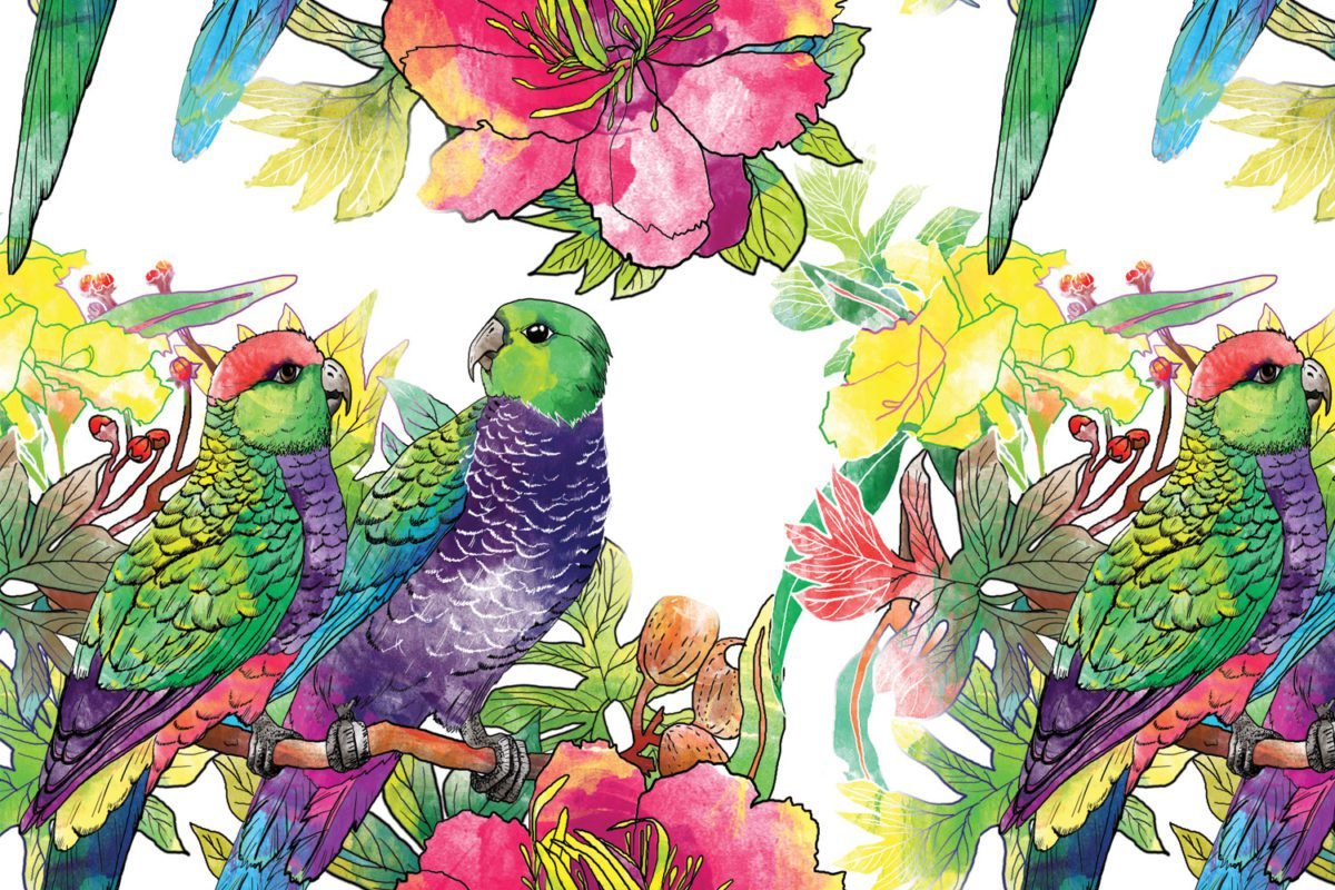 Parrots – Print A Wallpaper