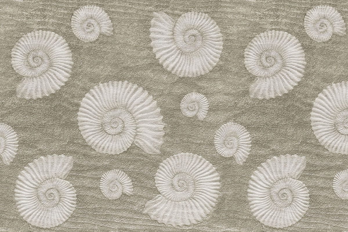 Shells – Print A Wallpaper