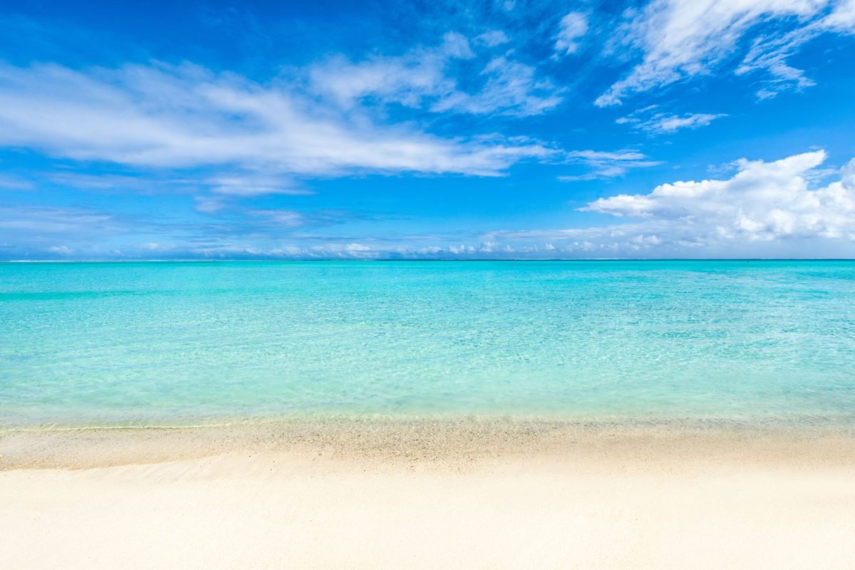 Tropical Waters – Print A Wallpaper