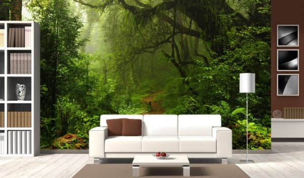 How to create nature inspired wall decor? – Print A Wallpaper