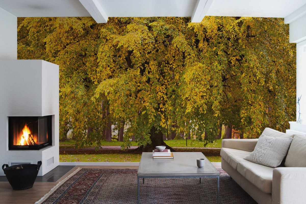 Tree Of Wisdom – Print A Wallpaper